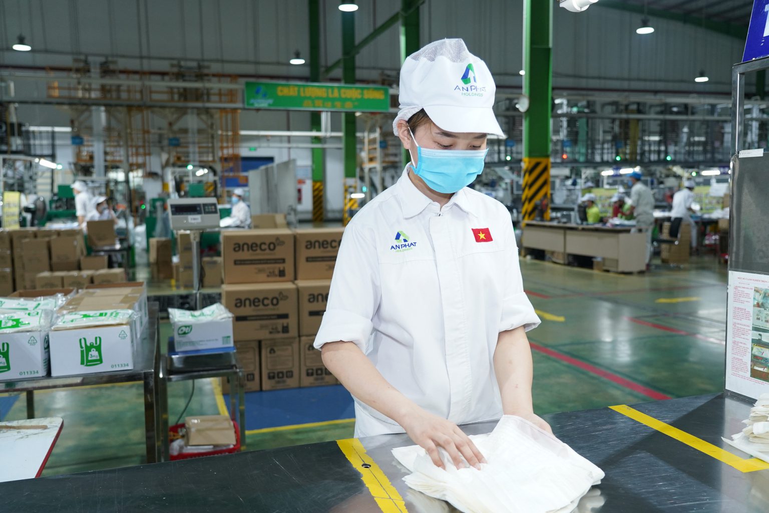 An Phat Holdings to build Southeast Asia’s largest PBAT green material ...